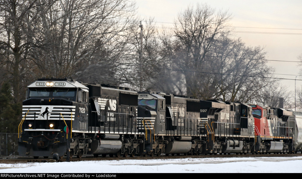 NS 7020 NS 6774 NS 7597 CN 2255